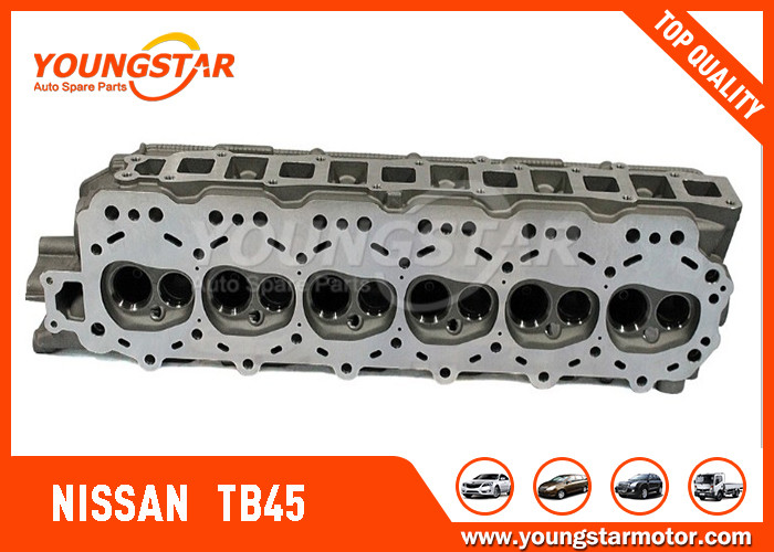 Kepala Cylinder Engine NISSAN TB45 11041-VC000 Bensin 12V